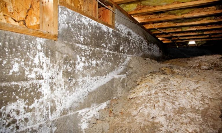 5 Possible Reasons for a Bad Crawl Space Odor | Lux Foundation Solutions